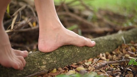 Man Holds Biological Sprout Life His Stock Footage Video (100% Royalty ...