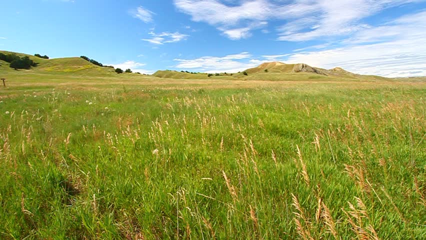 Grassland Scenery at Sage Creek Stock Footage Video (100% Royalty-free ...