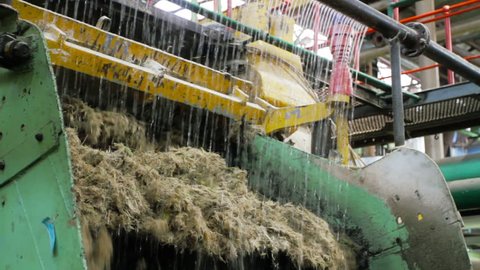 Sugar Cane Pulp Being Mulched After Stock Footage Video (100% Royalty ...