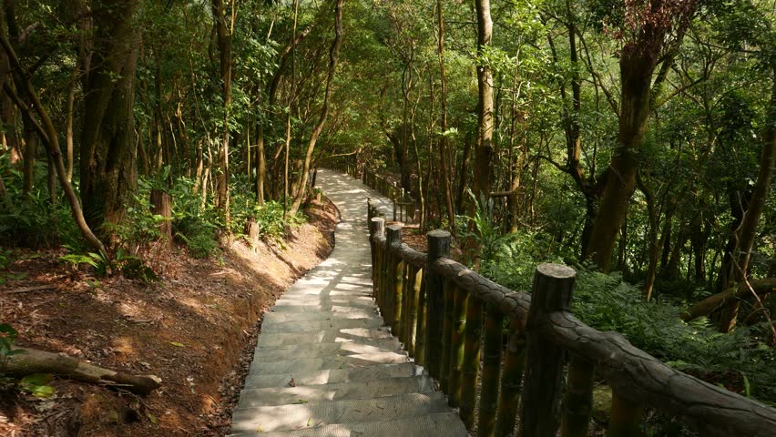 first person view walk down by Stock Footage Video (100% Royalty-free ...