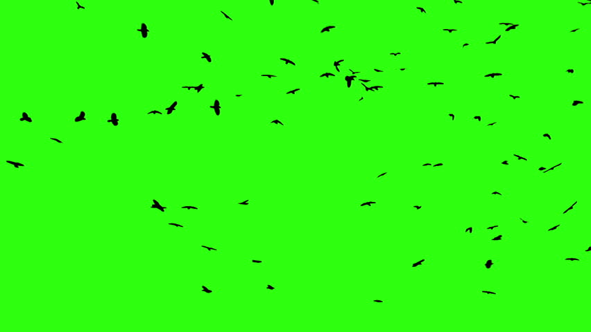 massive rain arrows on green screen Stock Footage Video (100% Royalty ...