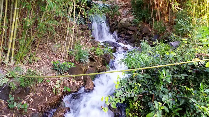 Beautiful Waterfall Between Bamboo and Stock Footage Video (100% ...