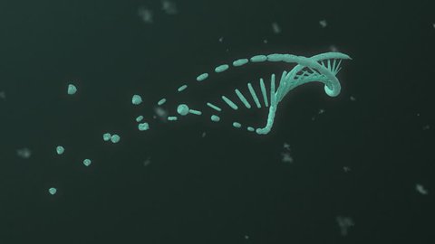 Dna Helix Evolution Genetic Engineering Scientific Stock Footage Video ...