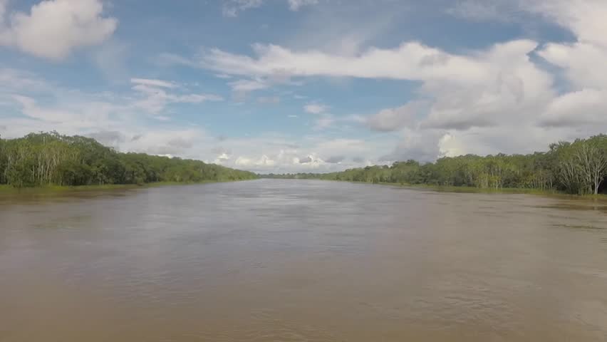 panorama amazon river rain forest cloudy Stock Footage Video (100% ...