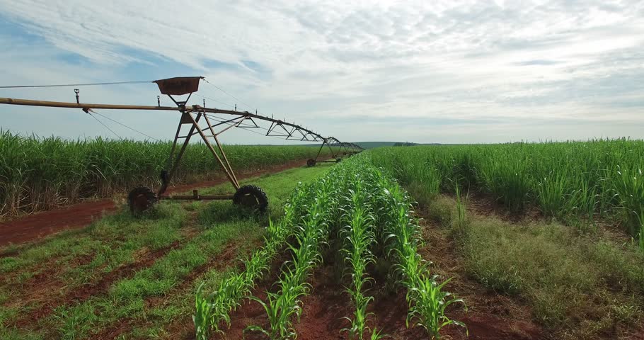 Windrow system Stock Video Footage - 4K and HD Video Clips | Shutterstock
