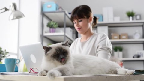 Woman Working On Laptop Cuddling Her Stock Footage Video (100% Royalty ...