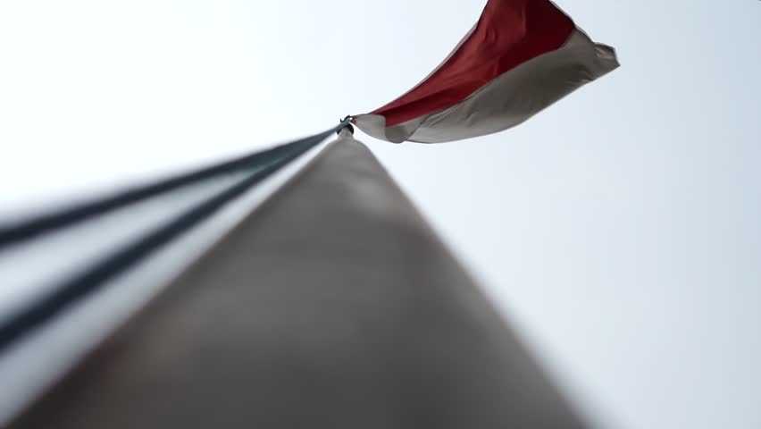 Garuda Pattern Stock Video Footage - 4K and HD Video Clips | Shutterstock