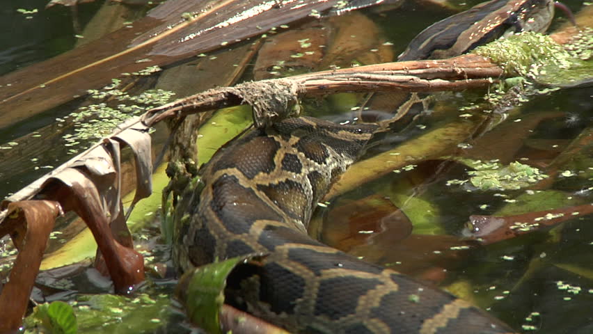 python water Stock Footage Video (100% Royalty-free) 1375693 | Shutterstock