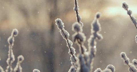 Airborne Ice Crystals Falling Snow On Stock Footage Video (100% Royalty ...