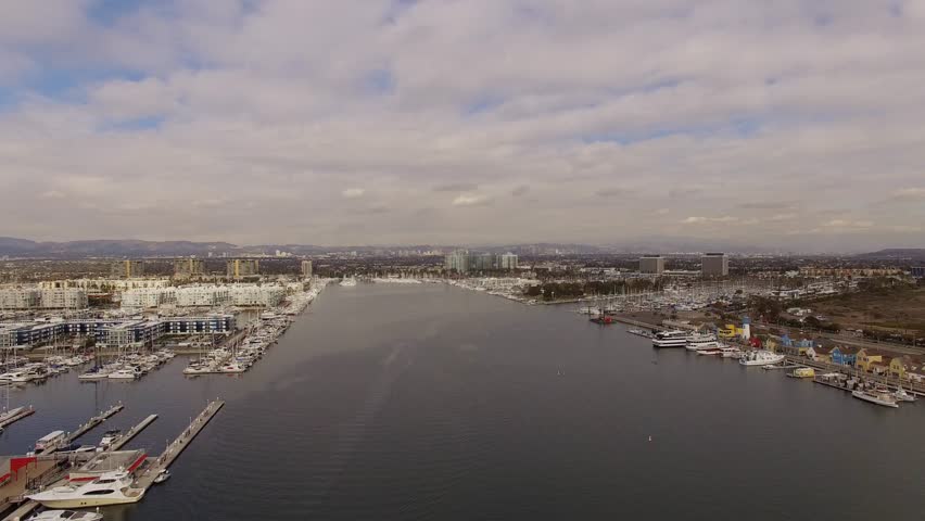 2 Crown fish logo Stock Video Footage - 4K and HD Video Clips ...