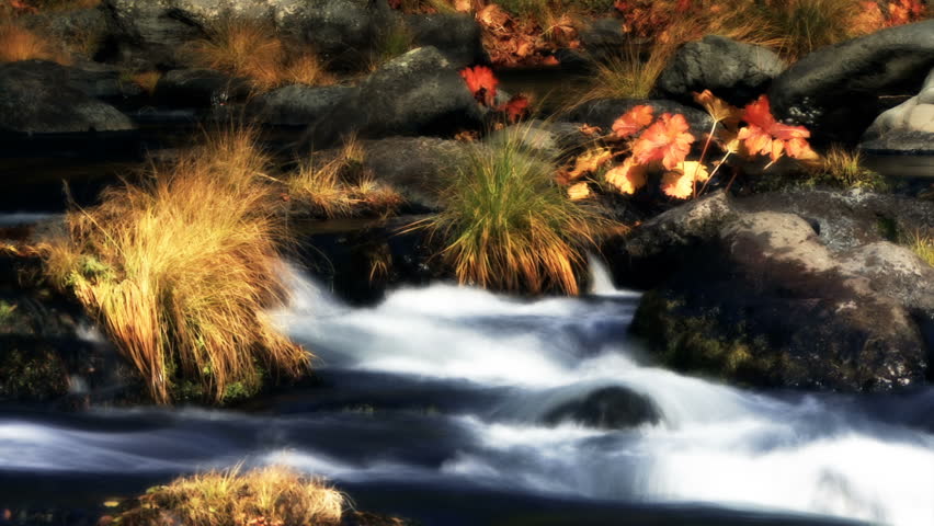 gentle stream flows between rocks autumn Stock Footage Video (100% ...