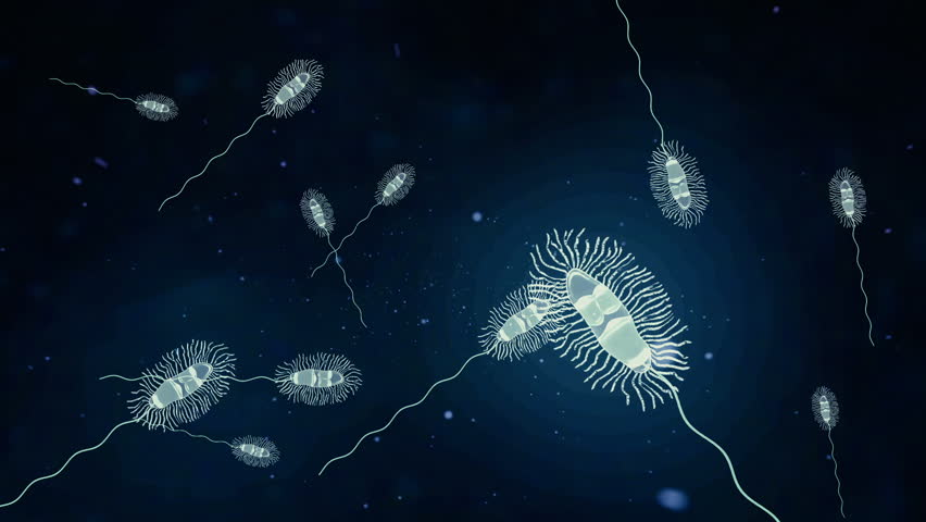 Bacteria Flagella Swimming Water Stock Footage Video (100% Royalty-free ...