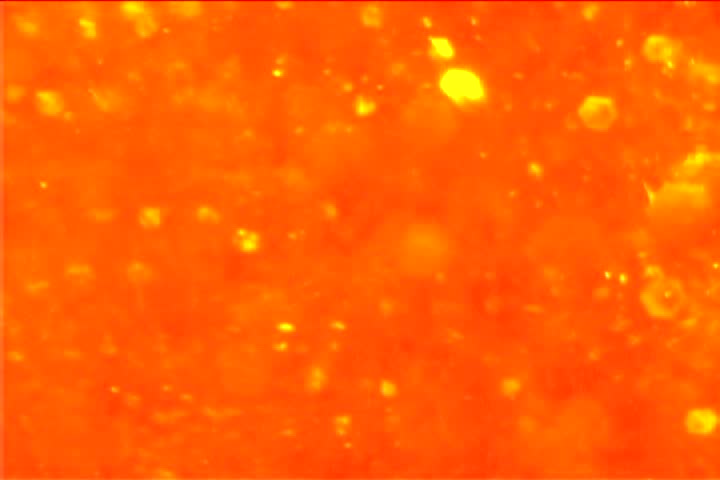 Orange Liquid Glitter Stock Footage Video (100% Royalty-free) 1400656 ...