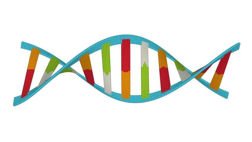 Genetic Data String Colorful Double Stock Footage Video (100% Royalty ...
