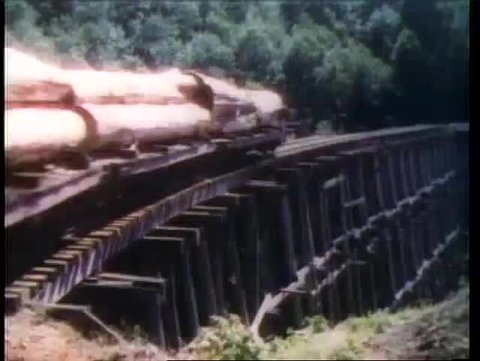 Freight Train Carrying Logs Falling Off Stock Footage Video (100% ...