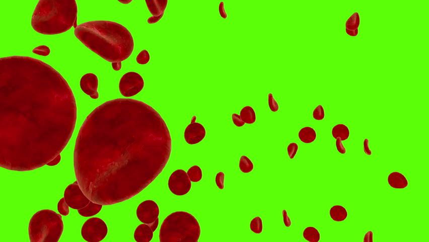 red blood cell erythrocyte close-up green Stock Footage Video (100% ...