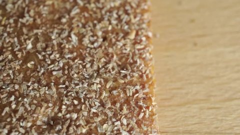 House Bolta Insect That Most Beautiful Stock Photo 1785605075 ...