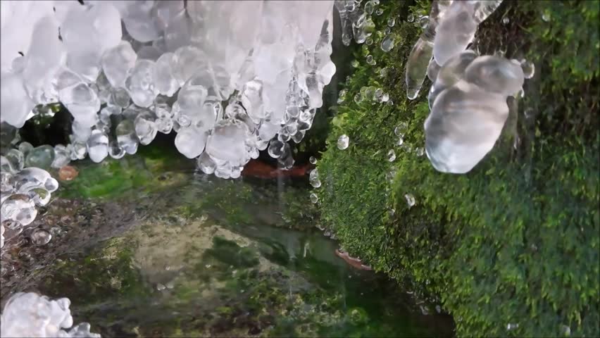 Moss water drip wallpaper Stock Video Footage - 4K and HD Video Clips ...