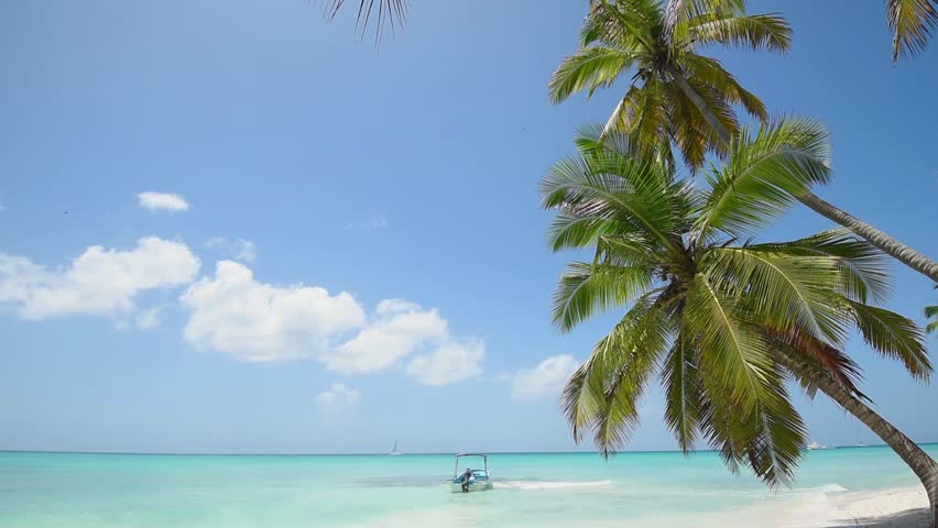 tropical beach background loop Stock Footage Video (100% Royalty-free ...