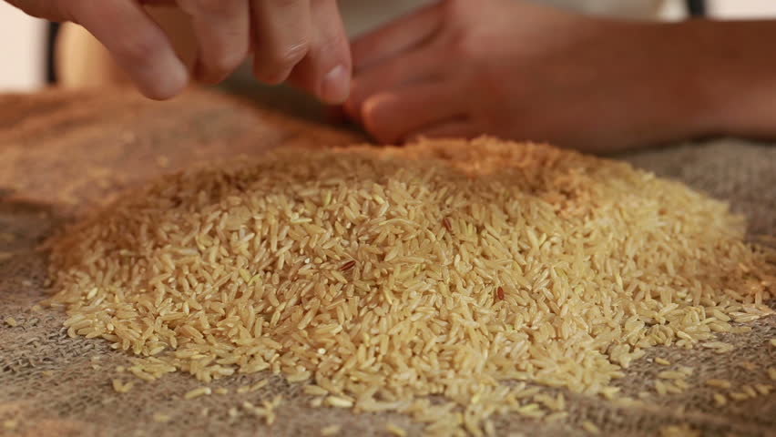 Bad Dirty and Low-quality Rice Stock Footage Video (100% Royalty-free ...