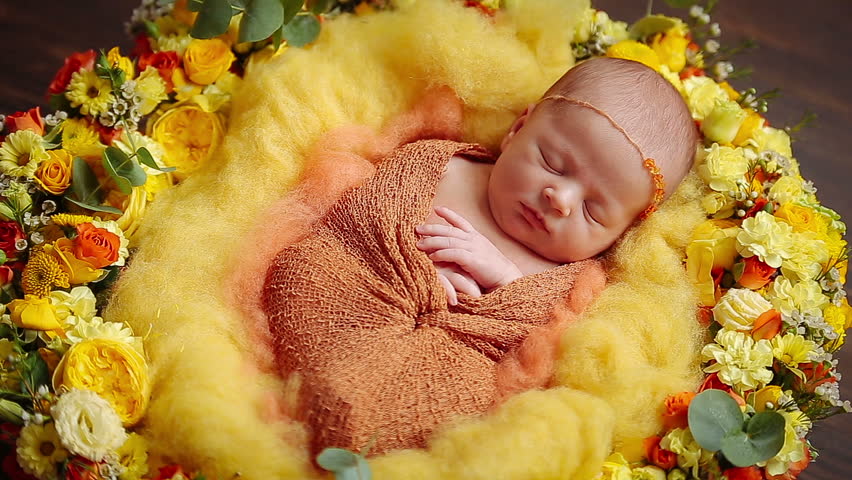 Cute Baby With Flowers Images | Best Flower Site