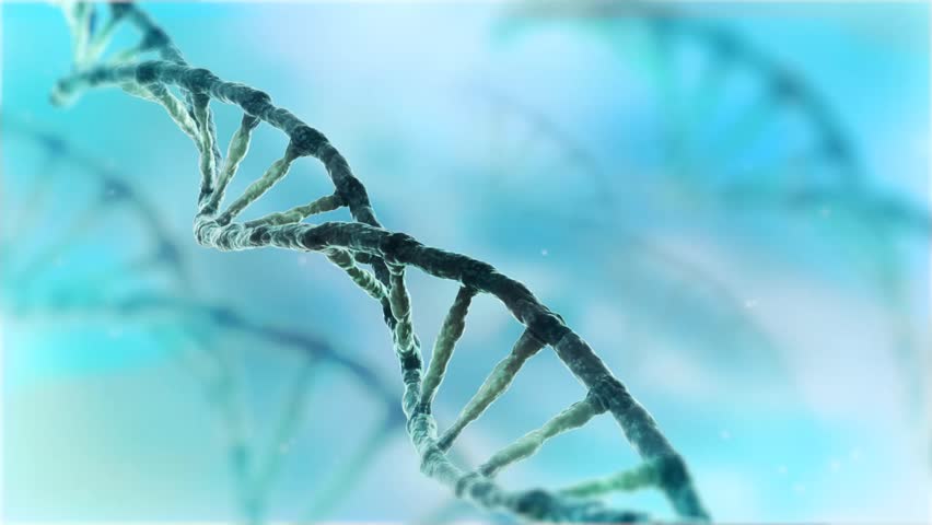 dna strand looping sequence Stock Footage Video (100% Royalty-free ...