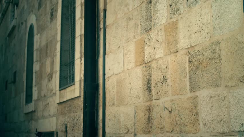 Sunfleck Stock Video Footage - 4K and HD Video Clips | Shutterstock