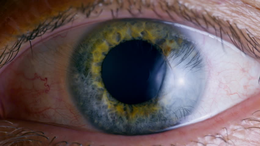 human eye iris contracting extreme close Stock Footage Video (100% ...