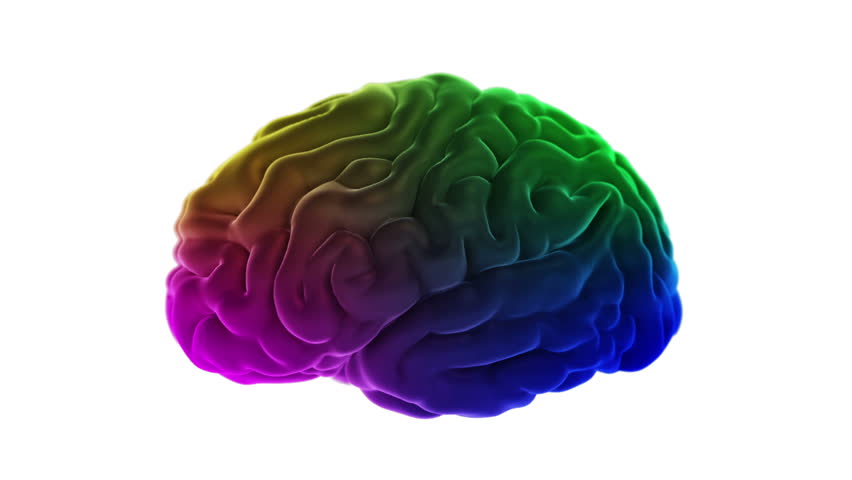 looping multi color brain animation on Stock Footage Video (100% ...