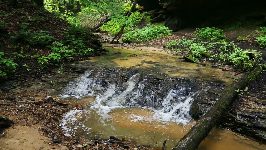 woodland stream cascades over rock ledge Stock Footage Video (100% ...