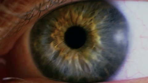 Human Eye Iris Contracting Close Stock Footage Video (100% Royalty-free ...