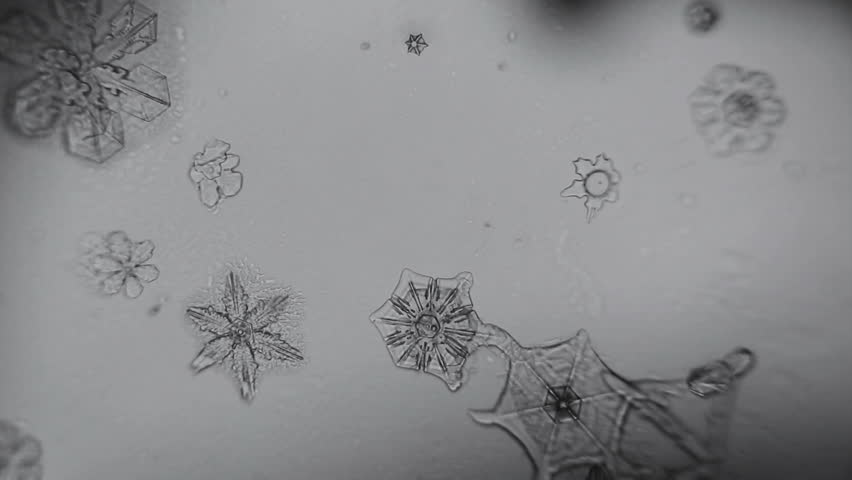 ice crystals formed under microscope water Stock Footage Video (100% ...