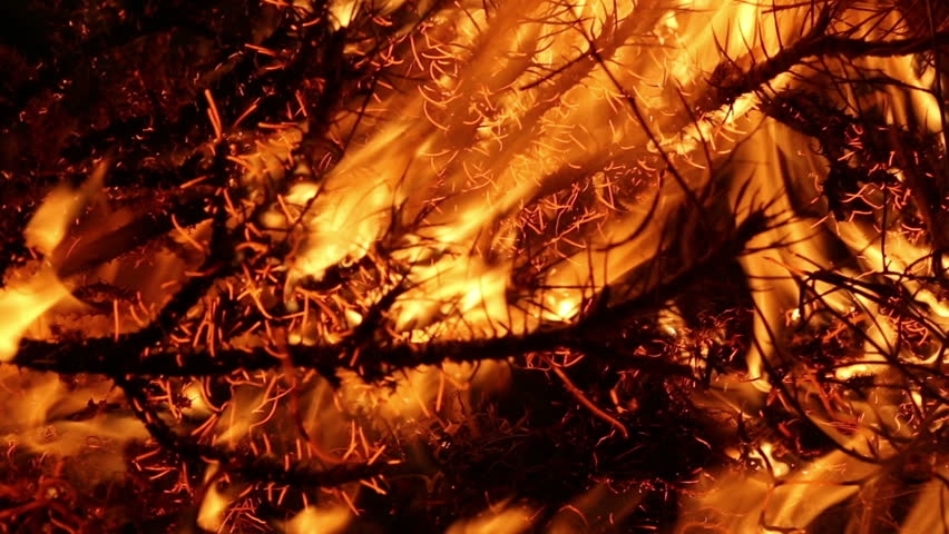 fast burning flames Stock Footage Video (100% Royalty-free) 14621809 ...