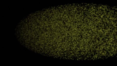 Shine Particle Effect Stock Footage Video (100% Royalty-free) 14644354 ...