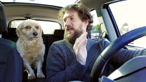 Hipster Man Talking Serious His Dog Stock Footage Video (100% Royalty ...