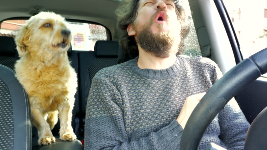 Happy Man Love Dog Barking Car Stock Footage Video (100% Royalty-free ...