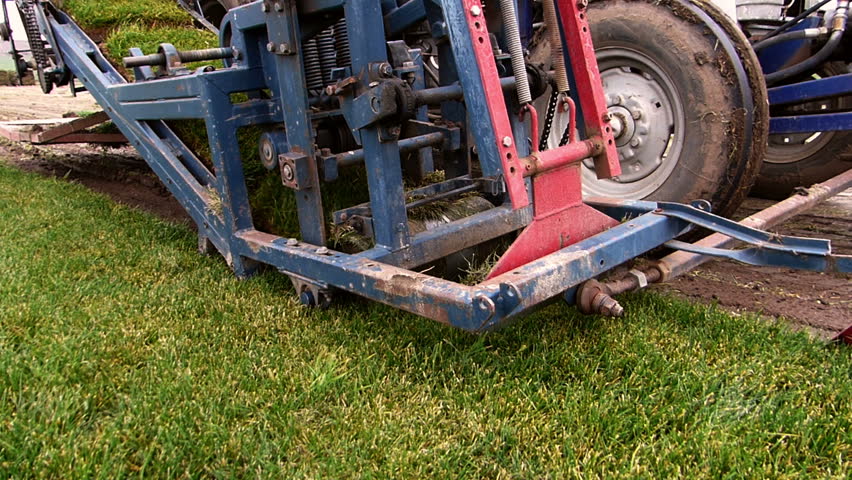 machine cutting grass turf Stock Footage Video (100% Royalty-free ...