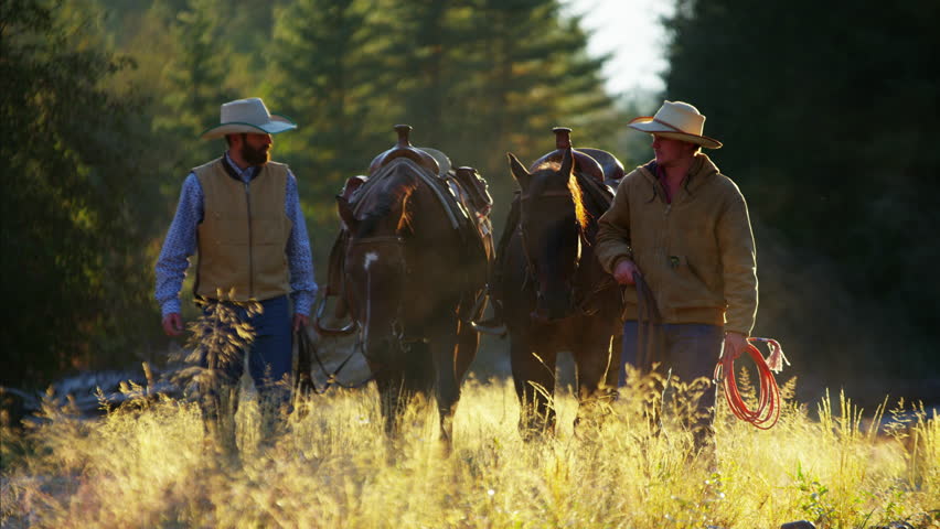 Working Ranch Hands Walking Horses Stock Footage Video (100% Royalty ...