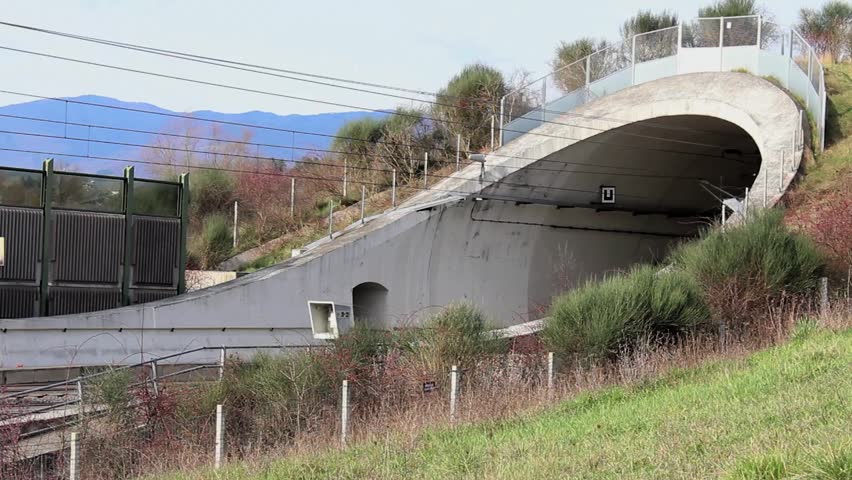 two trains entering leaving tunnel Stock Footage Video (100% Royalty ...