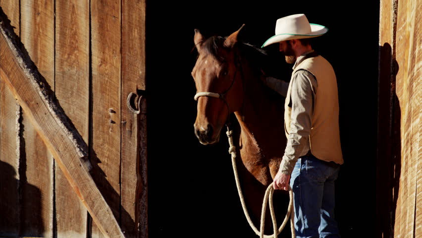 Cowboy Ranch Hand with Horse Stock-video (100 % royaltyfri) 14723797 ...