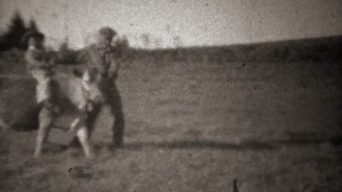 Portlandoregon 1946 Boy Riding Farm Cow Stock Footage Video (100% ...