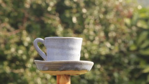 Sparrow On Cup Saucer Bird Feeder Stock Footage Video (100% Royalty ...