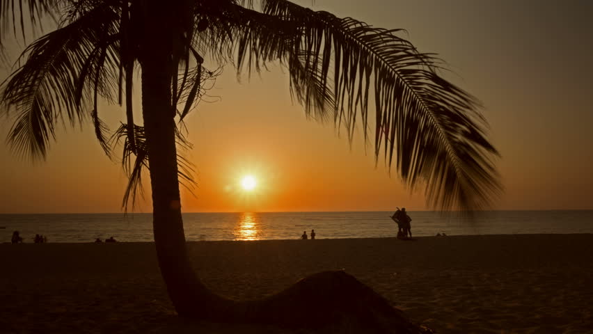 Beach Sunset and Coconut Tree Stock Footage Video (100% Royalty-free ...