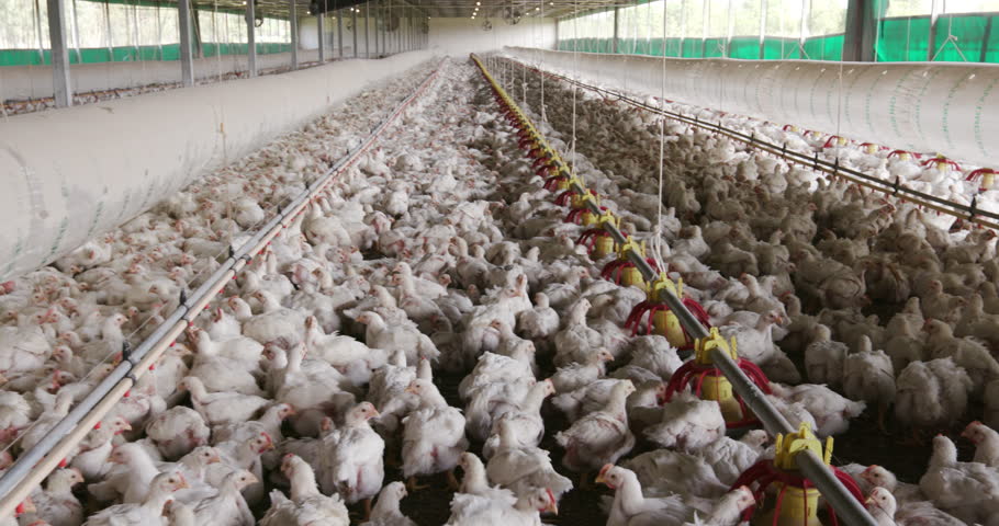 4k Intensive Large Scale Commercial Stock Footage Video (100% Royalty ...