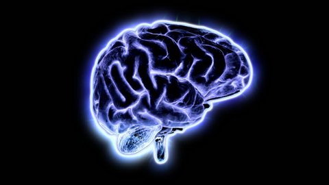 3d render human baby brain formation Stock Footage Video (100% Royalty ...