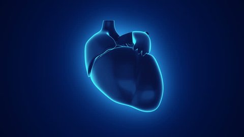 Animation Rotation Human Heart Movie Health Stock Footage Video (100% ...