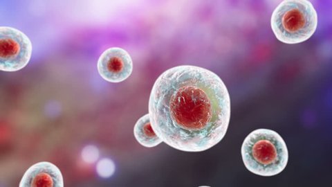 Human Cells 3d Animation Stock Footage Video (100% Royalty-free ...