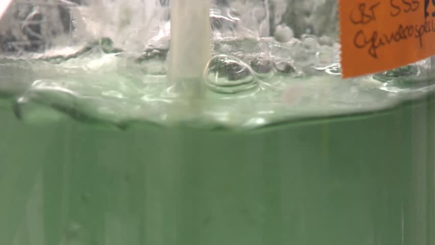 flask containing algae being aired under Stock Footage Video (100% ...