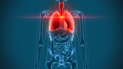 Vagina parts Stock Video Footage - 4K and HD Video Clips | Shutterstock