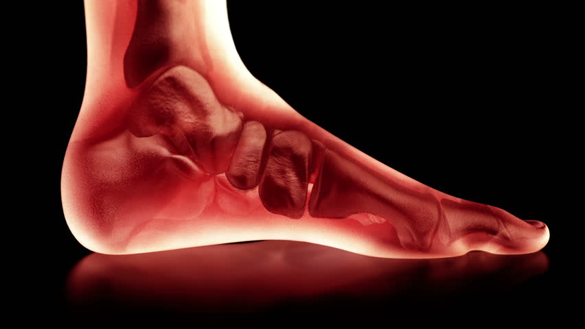 bones foot camera rotates 360 degrees Stock Footage Video (100% Royalty ...